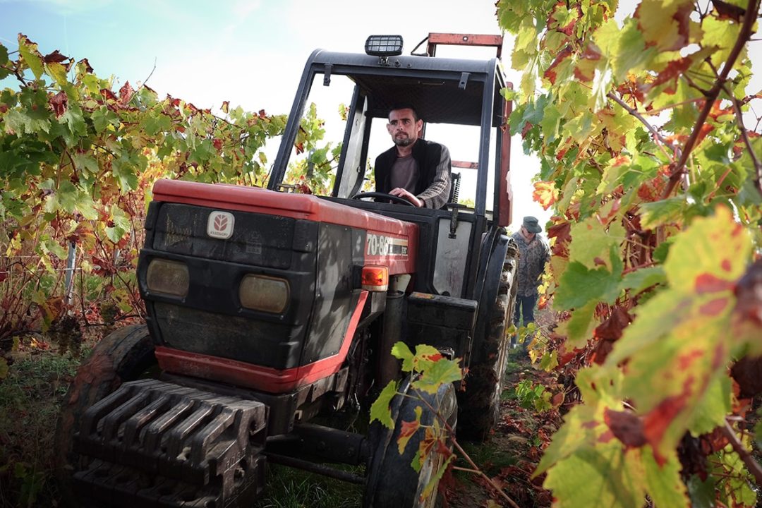 Les valeurs de la famille Balaran